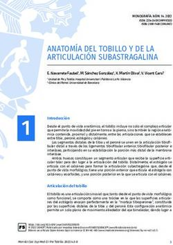 ANATOMÍA DEL TOBILLO Y DE LA ARTICULACIÓN SUBASTRAGALINA